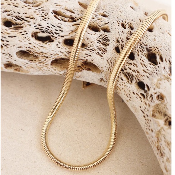 Serefina | Jewelry | Serefina Viper Snake Chain Necklace | Poshmark